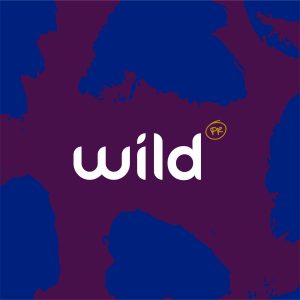 Wild PR appoints two new members of staff following rebrand - Connect ...